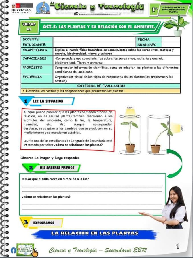 1° La Relación de Las Plantas 2 | PDF