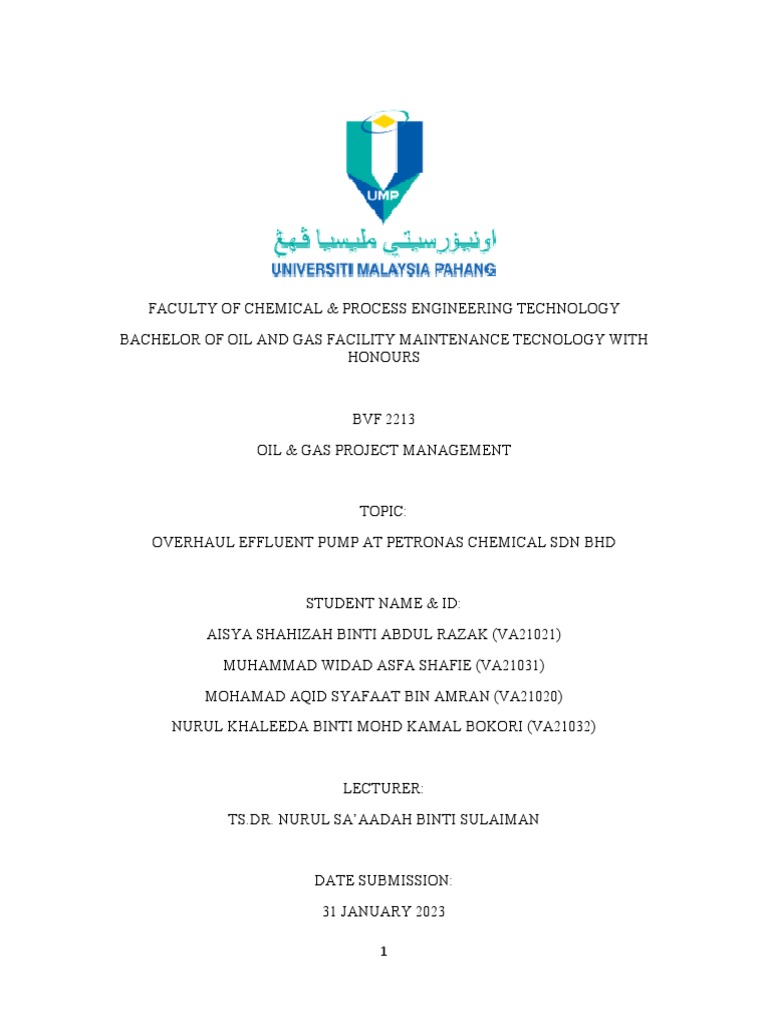 Mini Project DR Saadah Project Management PDF | PDF | Personal ...