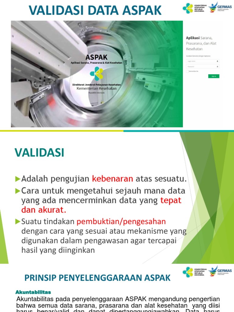 Petunjuk-Validasi Data Aspak RS | PDF