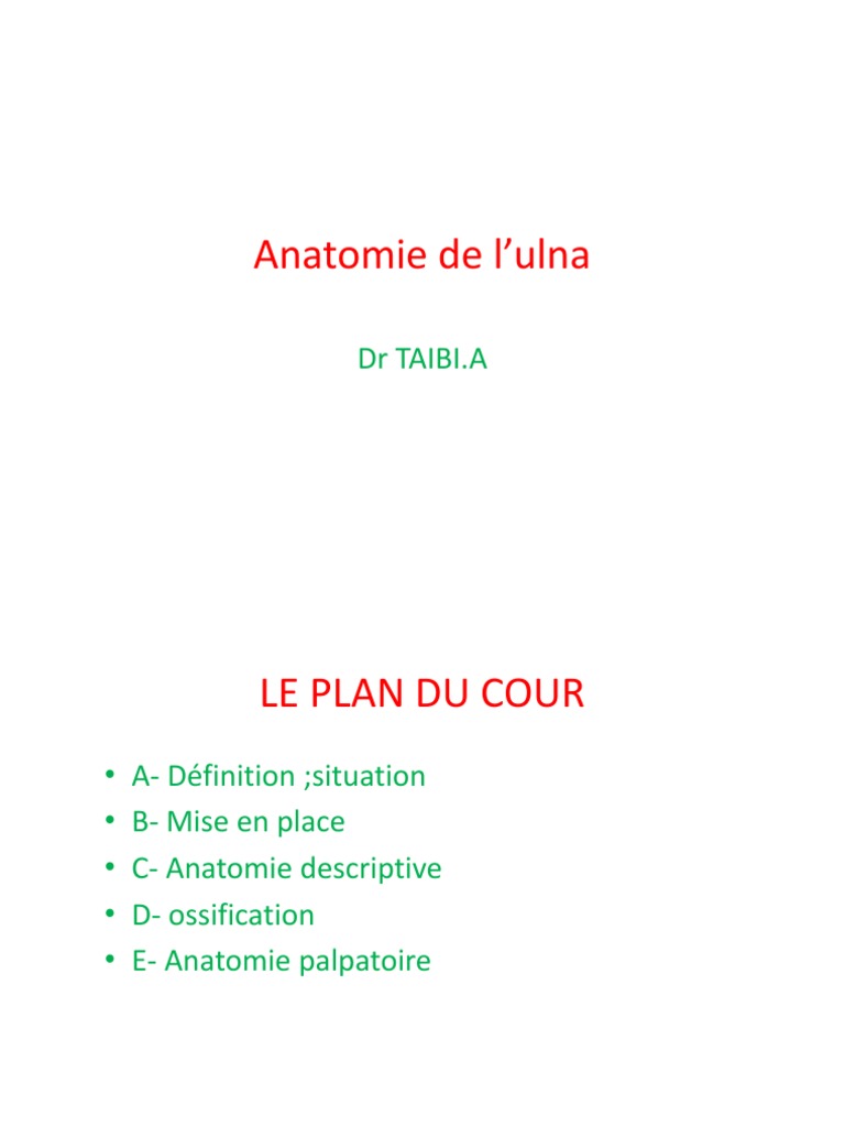 Anatomie de L'ulna | PDF