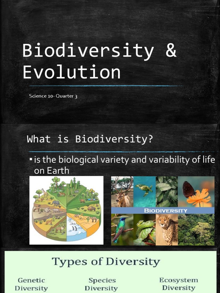 Understanding Biodiversity and Evolution | PDF | Social Science ...