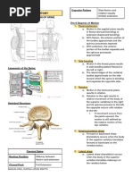 TLIF Lumbar Fusion Rehab Guidelines | PDF | Anatomical Terms Of Motion ...