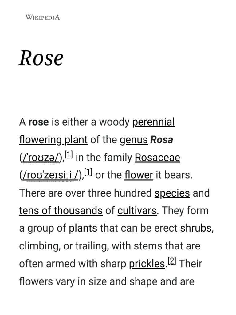 Rose Wikipedia | PDF | Rose | Plants