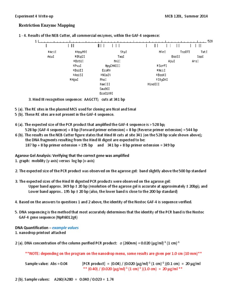 Exp 4 KEY SS14 | PDF