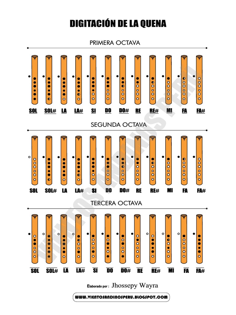 Digitaciòn de la quena.pdf | PDF