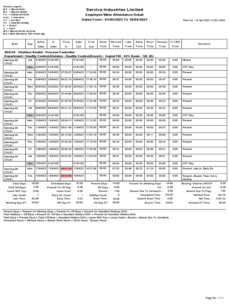 Employee Wise Attendance Detail | PDF
