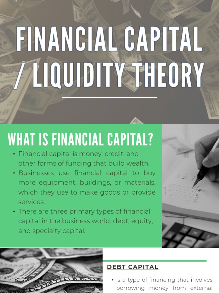 Financial Capital / Liquidity Theory | PDF