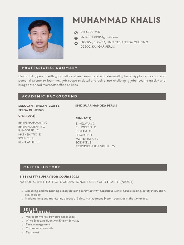 Muhammad Khalis: Professional Summary | PDF