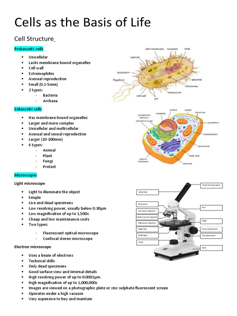 Cells As The Basis of Life Study Notes | PDF | Cell (Biology) | Cell ...