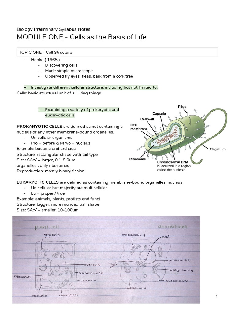 Module 1 - Bio Syllabus | PDF | Cell Membrane | Cell (Biology)