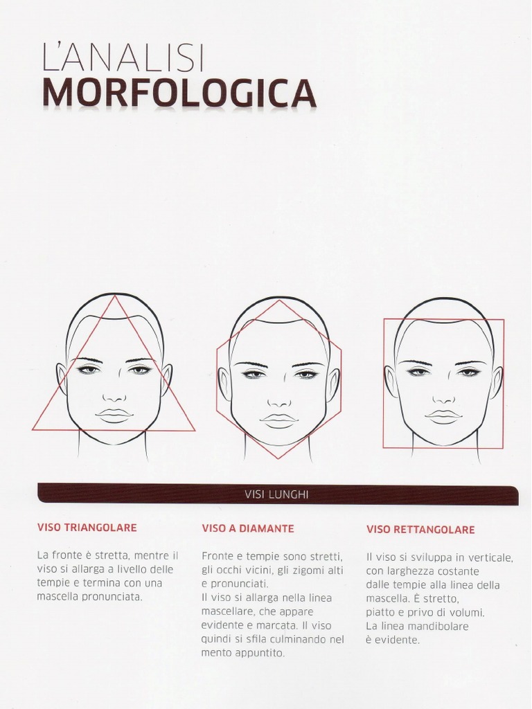 Morfologia Del Viso | PDF