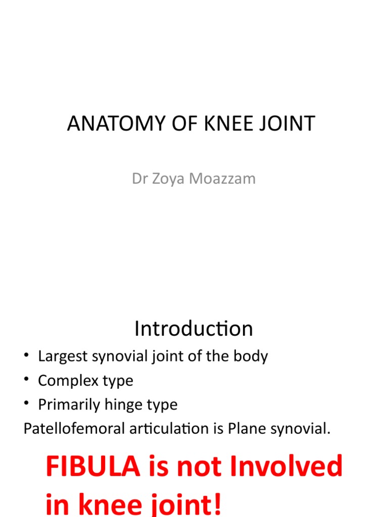 ANATOMY OF KNEE JOINT.pptx | PDF