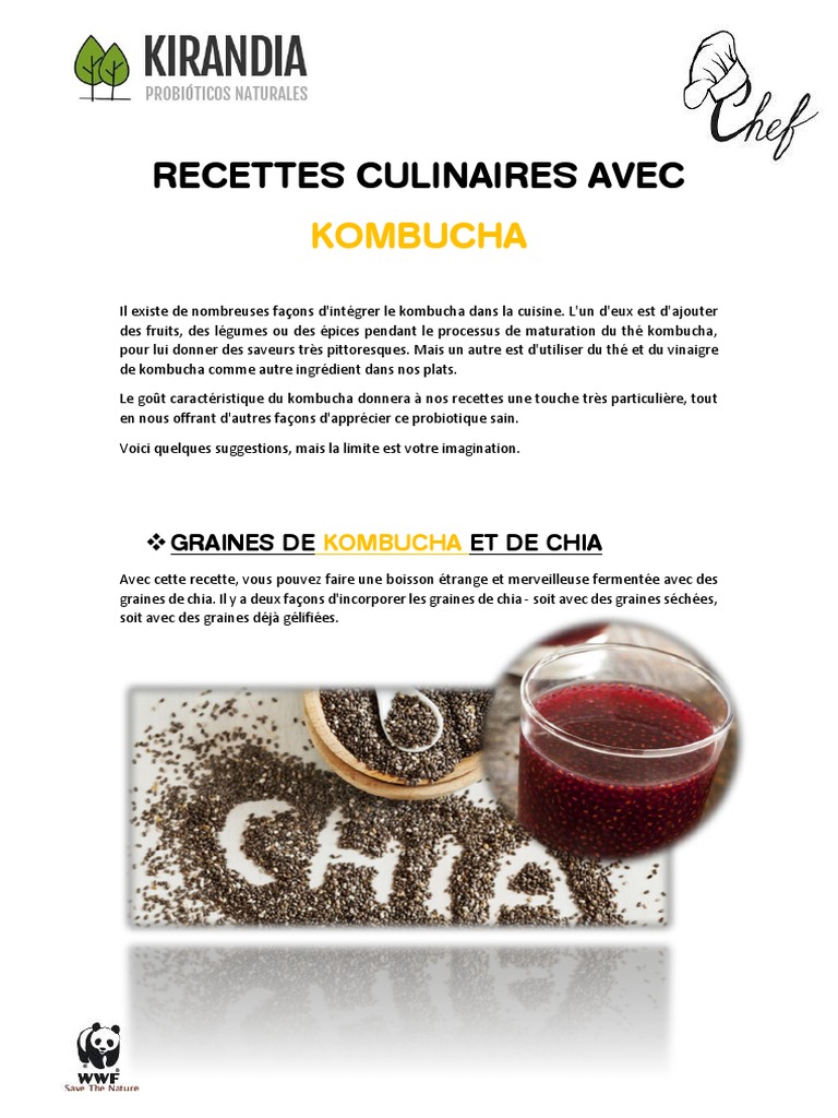 KIRANDIA Recettes de Cuisine Avec Kombucha | PDF