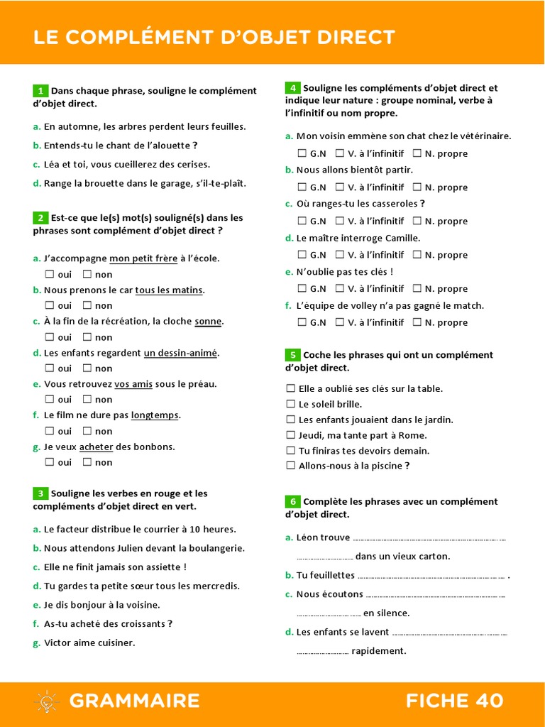 Complement Objet Direct | PDF