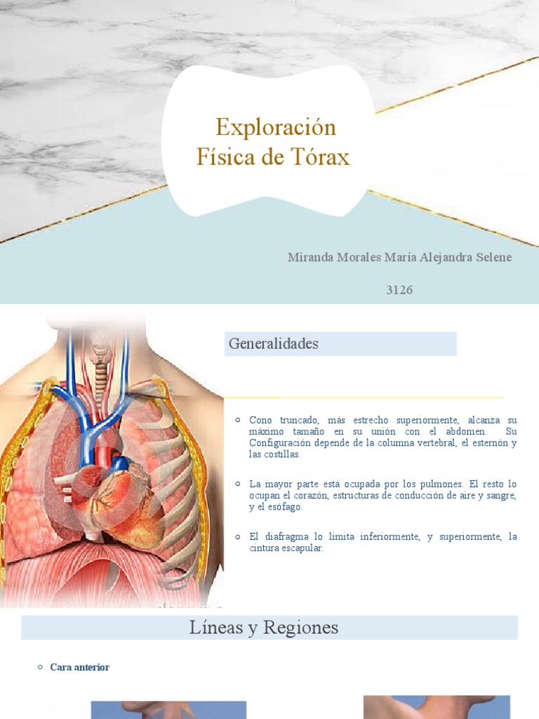 Exploracion Tórax.pptx | PDF | Tórax (anatomía humana) | Medicina CLINICA