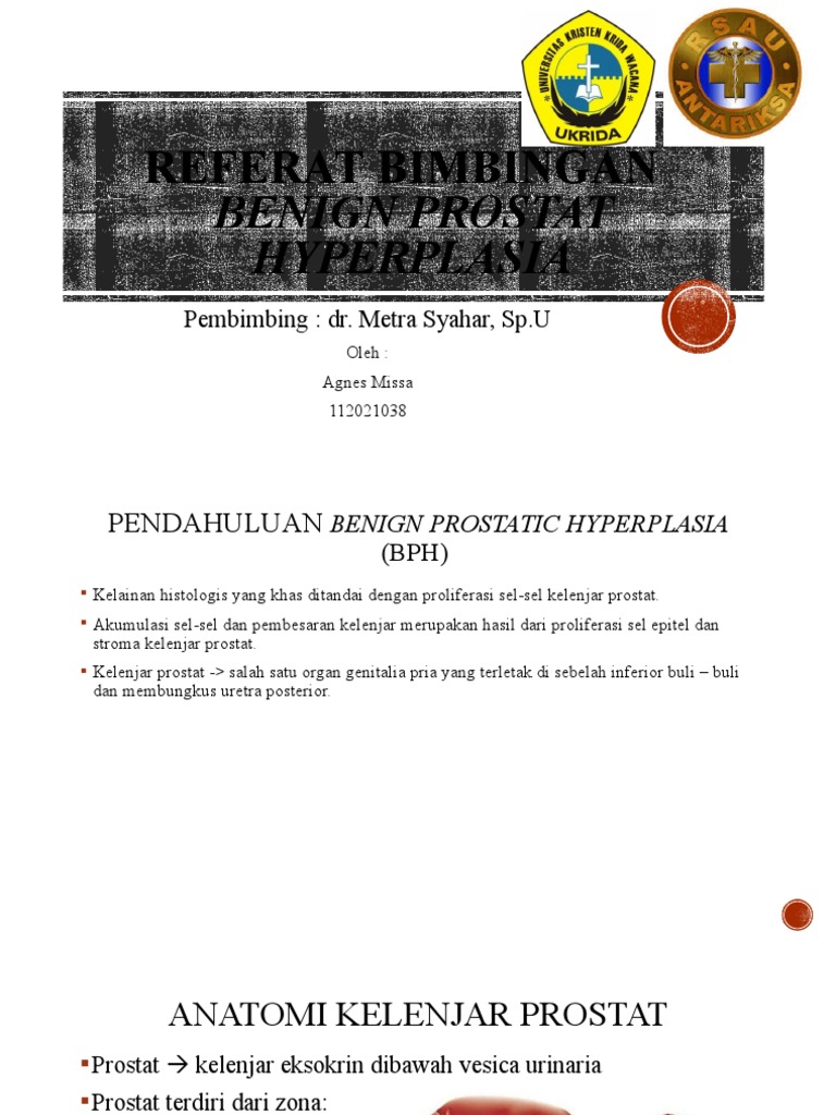 PPT Referat BPH-Agnes Missa | PDF