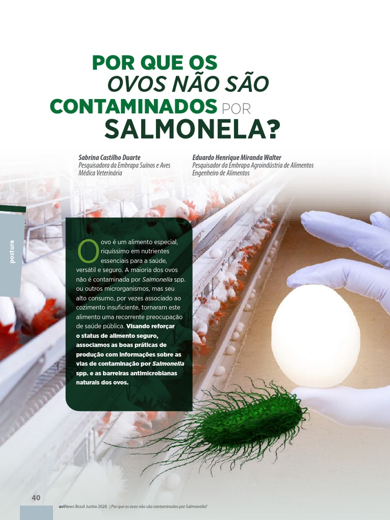 Salmonella em Ovos PDF | PDF | Ovo (alimento) | Salmonella