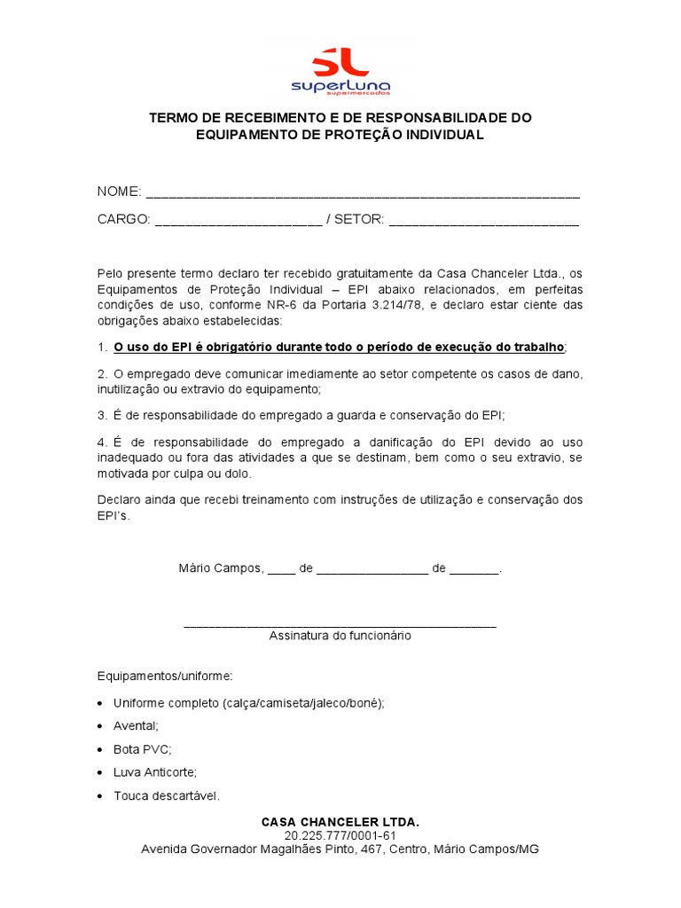 Termo de Recebimento e de Responsabilidade Do Epi | PDF
