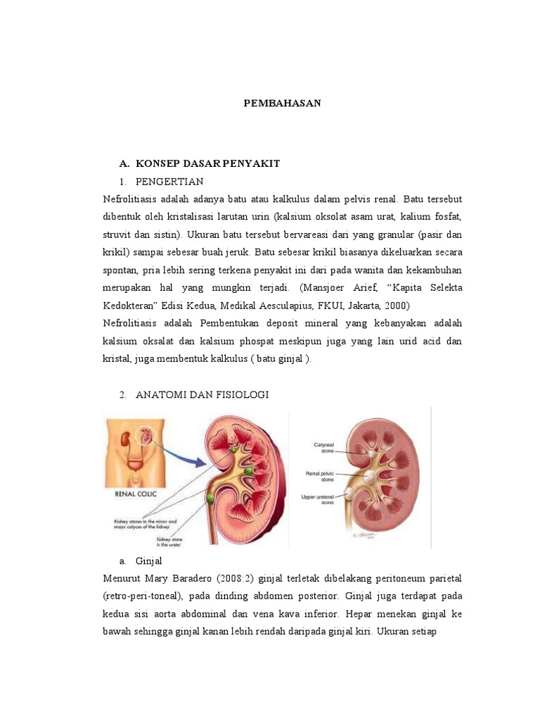 PEMBAHASAN Nefrolitiasis | PDF | Sains & Matematika