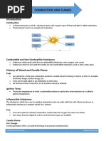 Class 8 Science: Combustion & Flame | PDF | Combustion | Fires