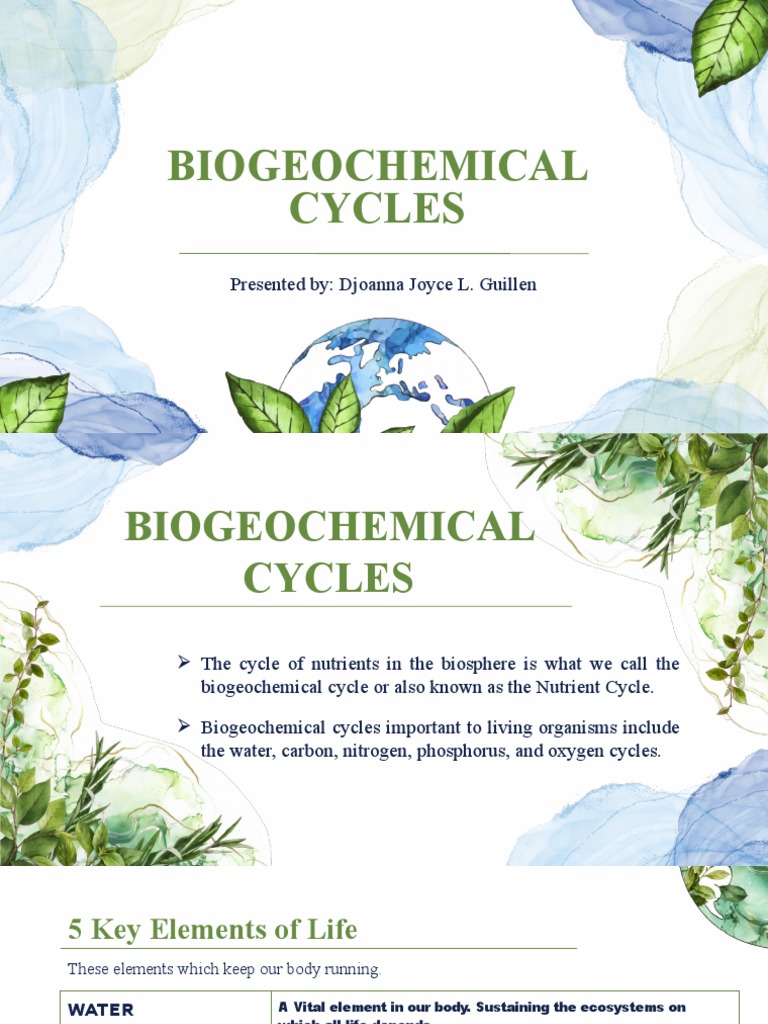 Biogeochemical Cycle | PDF