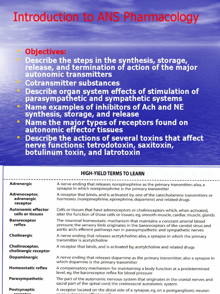 Introduction To ANS Pharmacology | PDF | Autonomic Nervous System | Acetylcholine