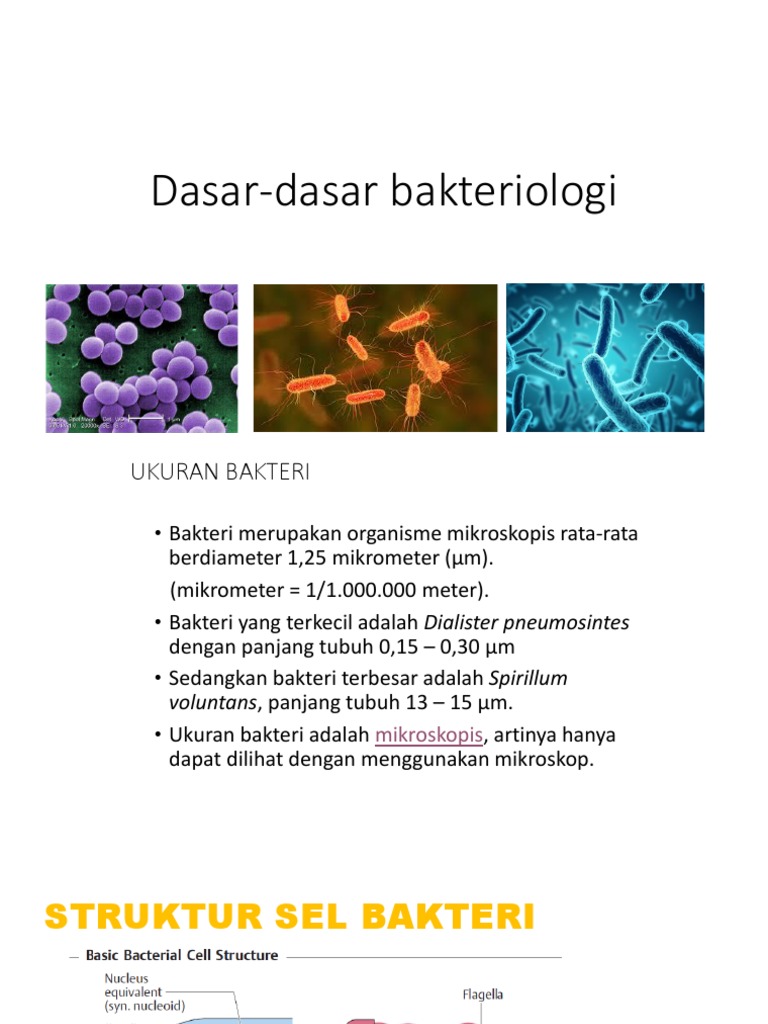 Dasar Dasar Bakteriologi | PDF | Sains & Matematika