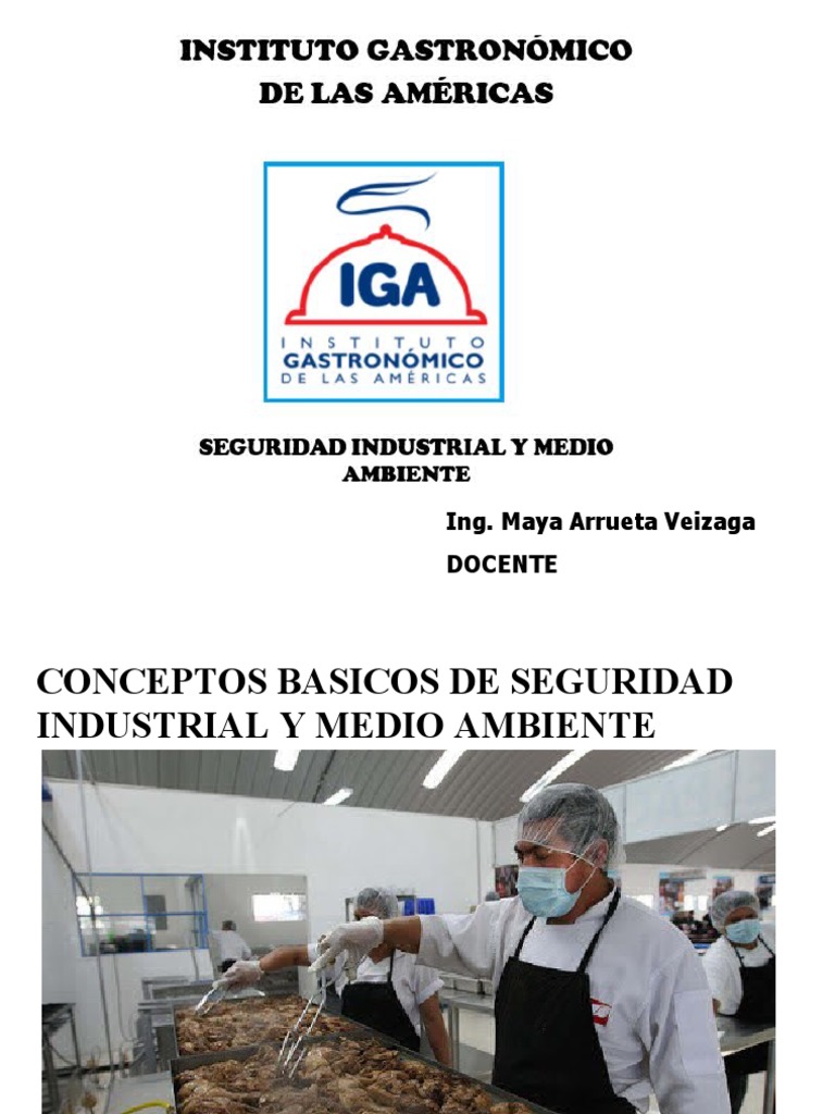 Conceptos Basicos de Seguridad Industrial | PDF | Negocios