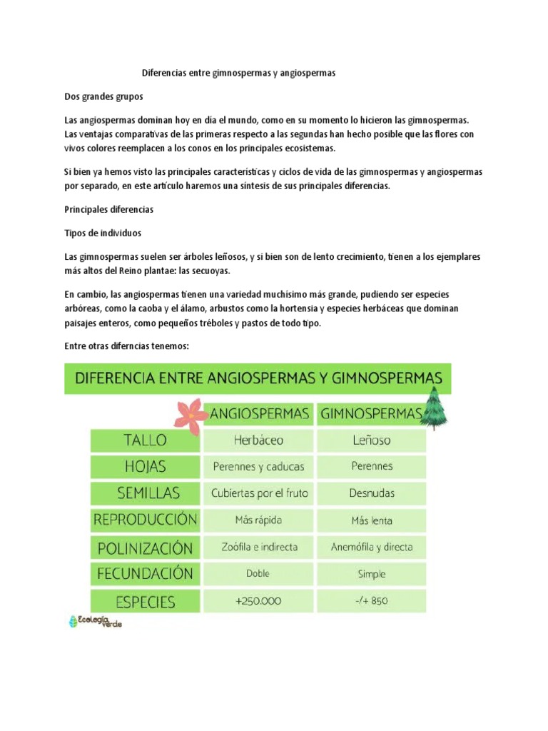 Gimnospermas vs Angiospermas: Claves | PDF | Hogar, jardinería y bricolaje