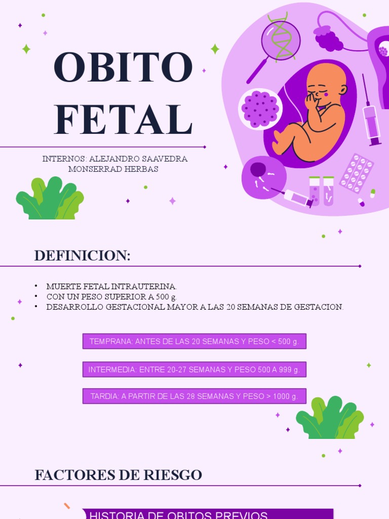 Obito Fetal Ale y Monse | PDF | El embarazo | Feto