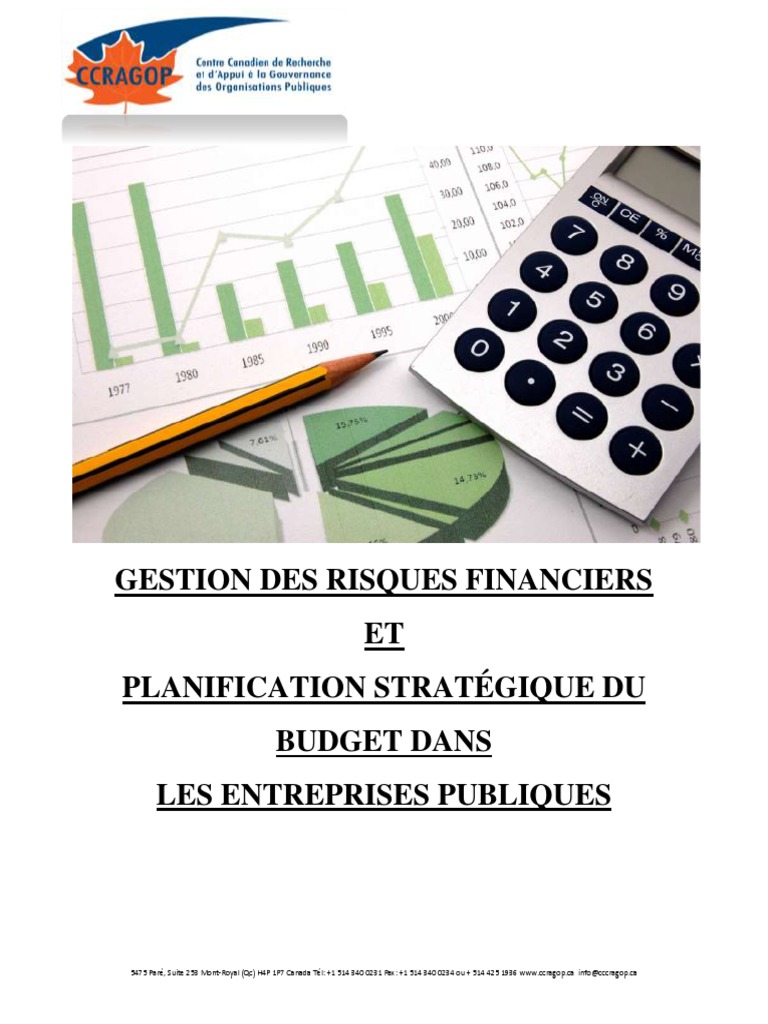 Gestion Des Risques Financiers | PDF | Risque | Gestion des risques