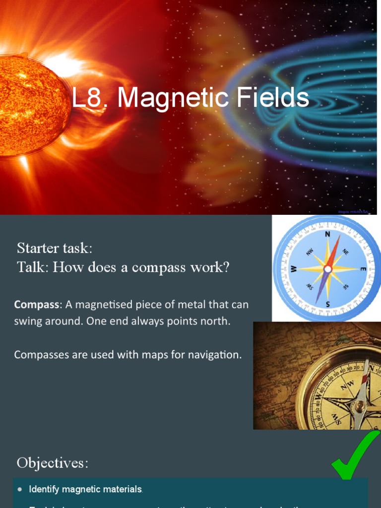 Magnetic Earth | Download Free PDF | Magnet | Magnetism