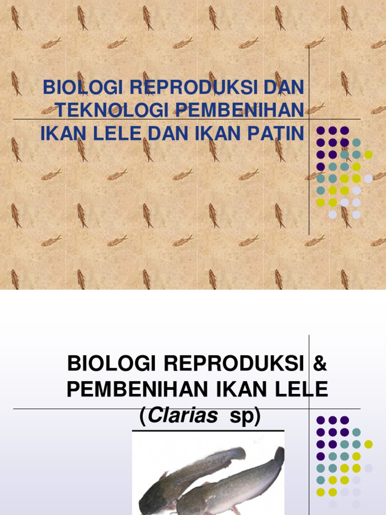 Pembenihan Ikan Lele & Patin | PDF | Sains & Matematika