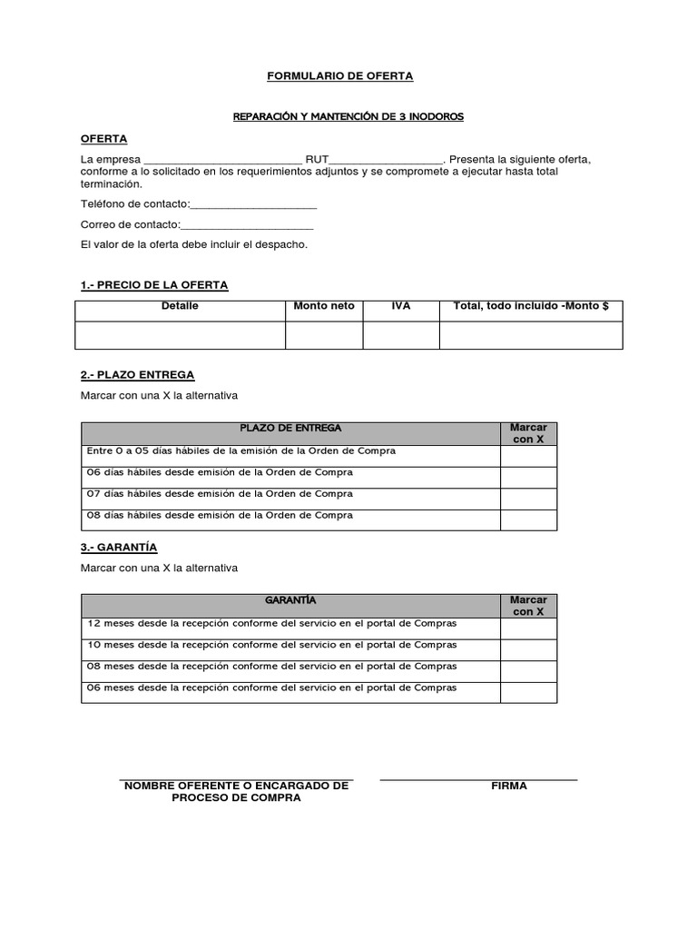 Formato de Oferta Publica | PDF