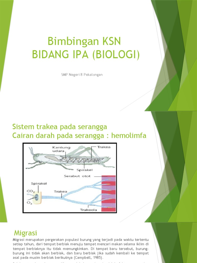 Bimbingan KSN IPA BIO | PDF | Ilmu Sosial | Kesehatan Holistik