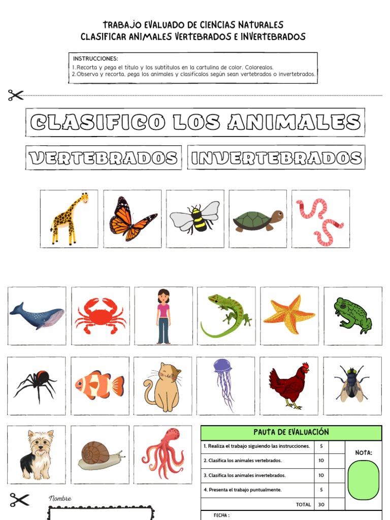 Clasificar Animales Vertebrados e Invertebrados @laprofealecomparte | PDF