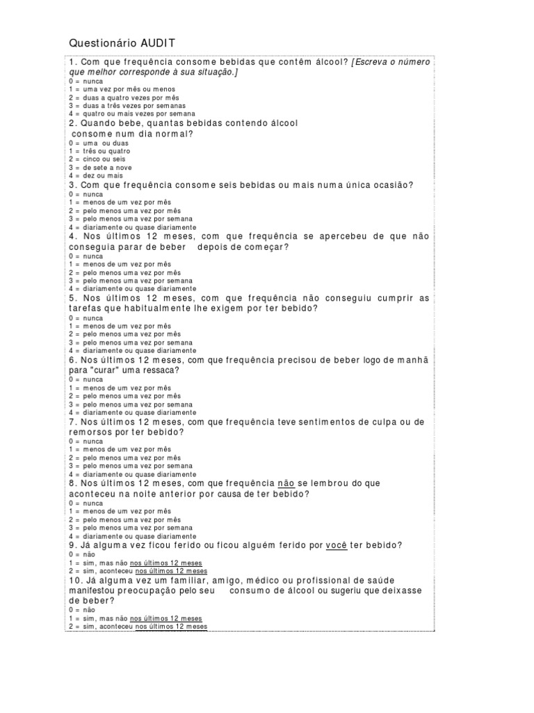Audit - Questionário | PDF