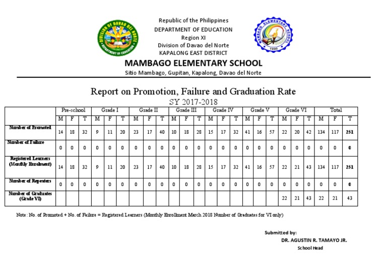 Report On Promotion, Failure and Graduation Rate | PDF