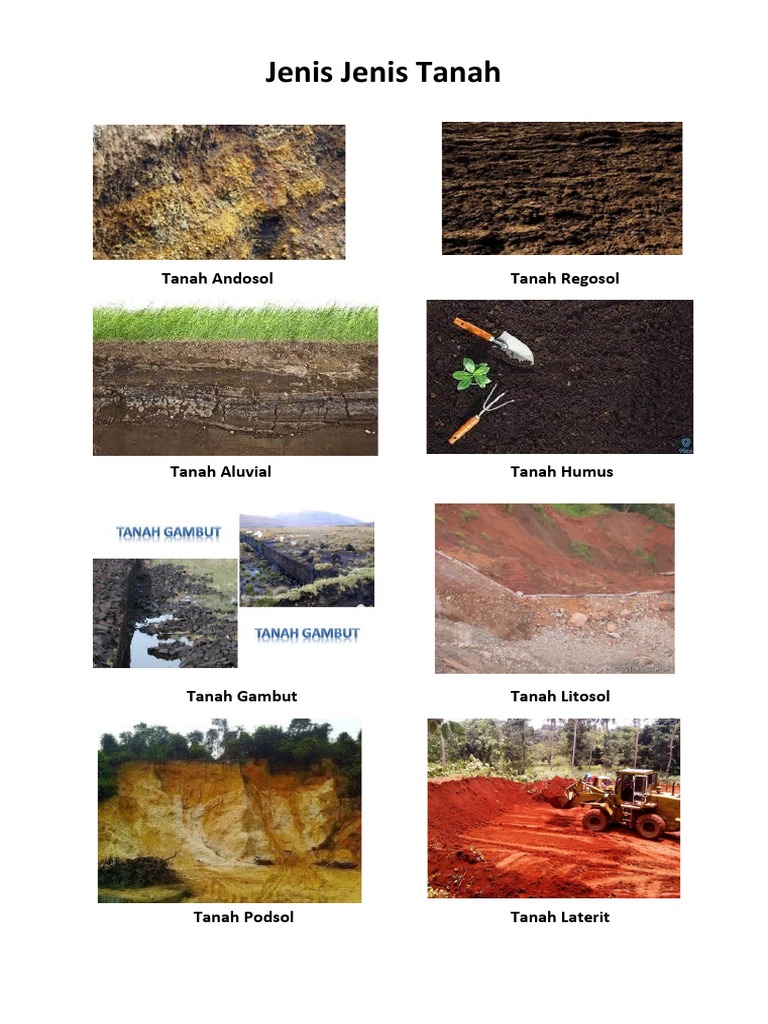 Geografi Jenis Jenis Tanah | PDF