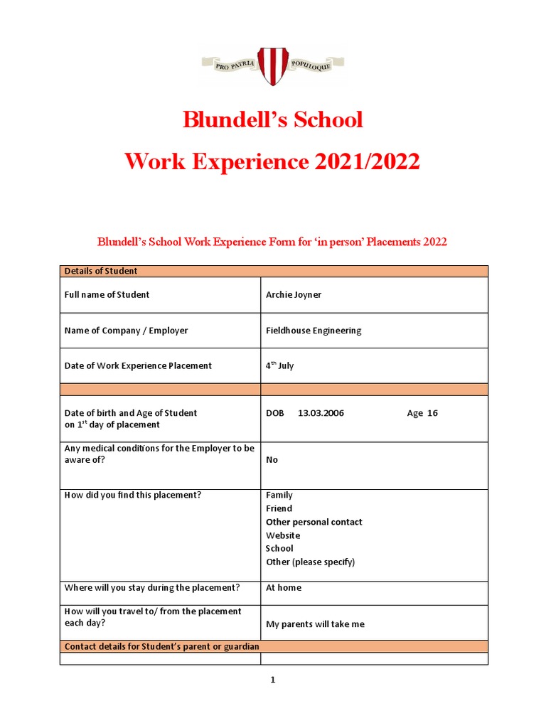 Work Experience Form 2022 | Download Free PDF | Internship | Job Hunting