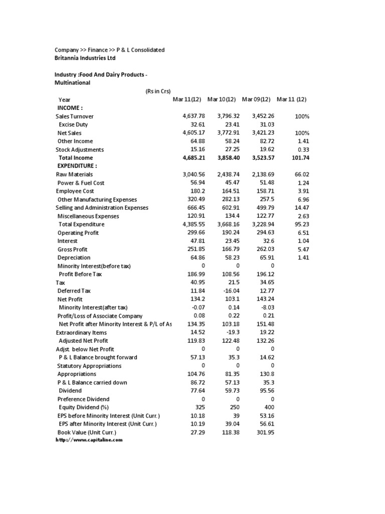 Consolidated P & L | Income Statement | Revenue