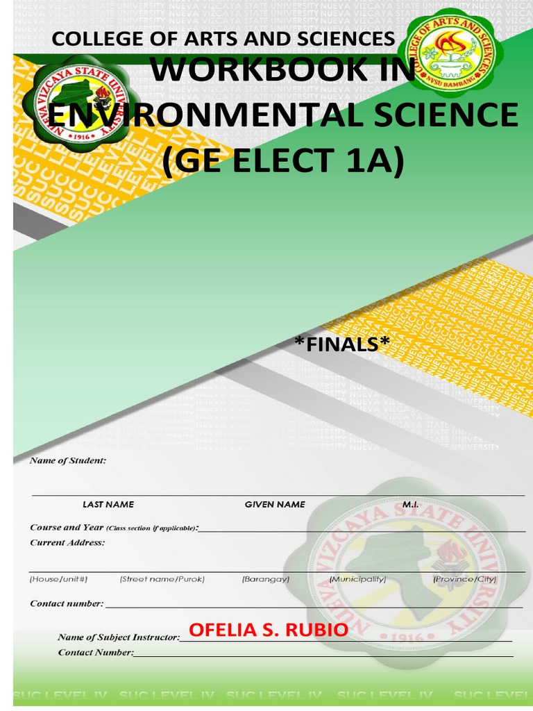 Im 5 Activities and Assignments | PDF
