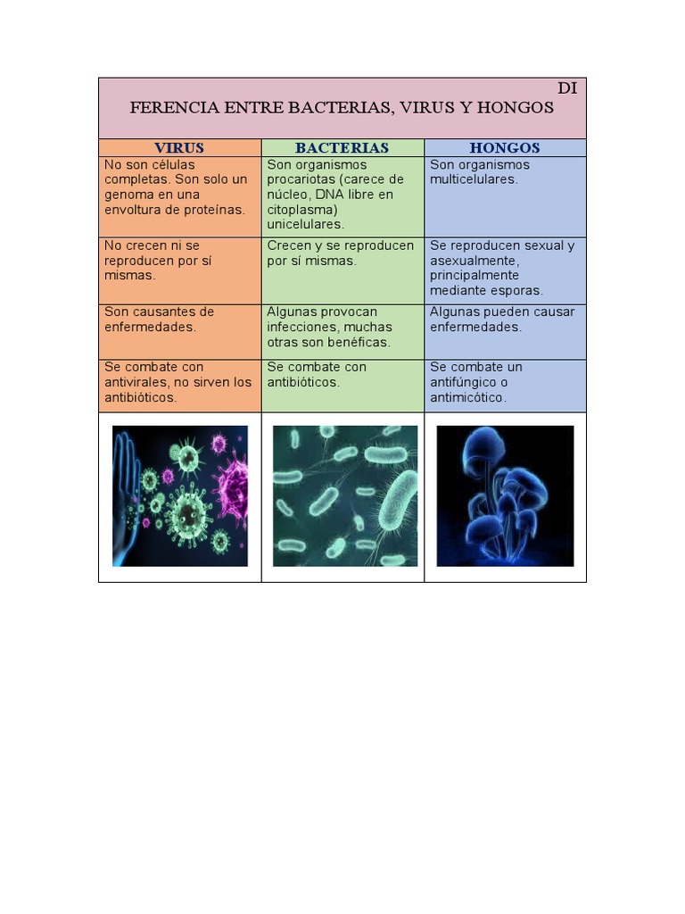 Diferencias entre Bacterias, Virus y Hongos | PDF