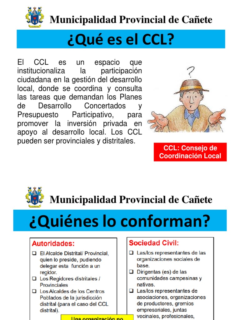 Funciones Del CCLP | PDF