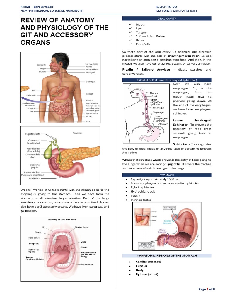 Med Surg 2 - 1 Review of Anatomy and Physiology of The GIT and Accessory Organs | PDF | Human ...