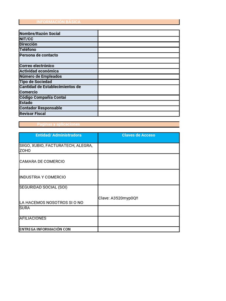 Información Empresarial Básica | PDF