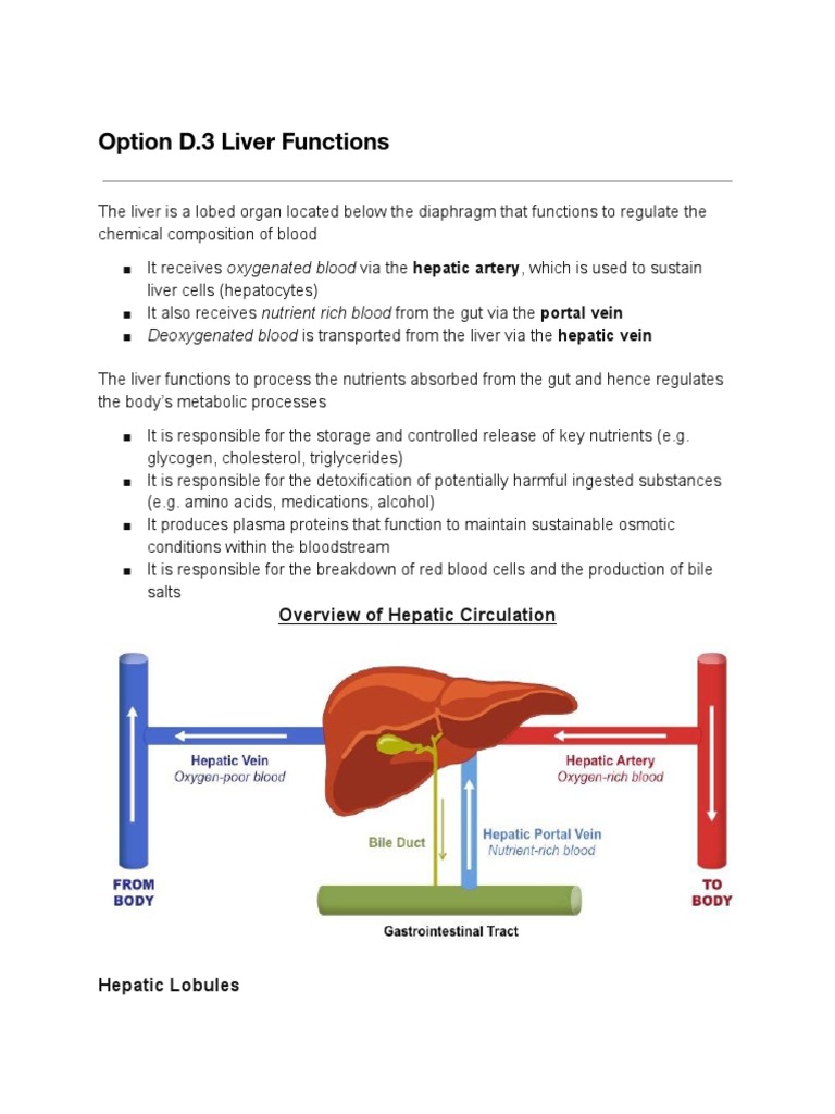 D.3 Liver Functions | PDF | Liver | Cholesterol