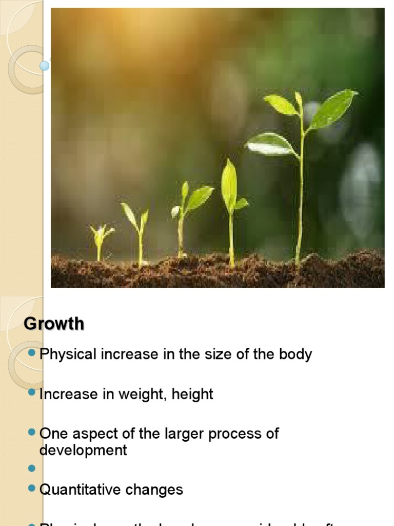 Basic Principles of Child Development | PDF | Child Development | Human ...