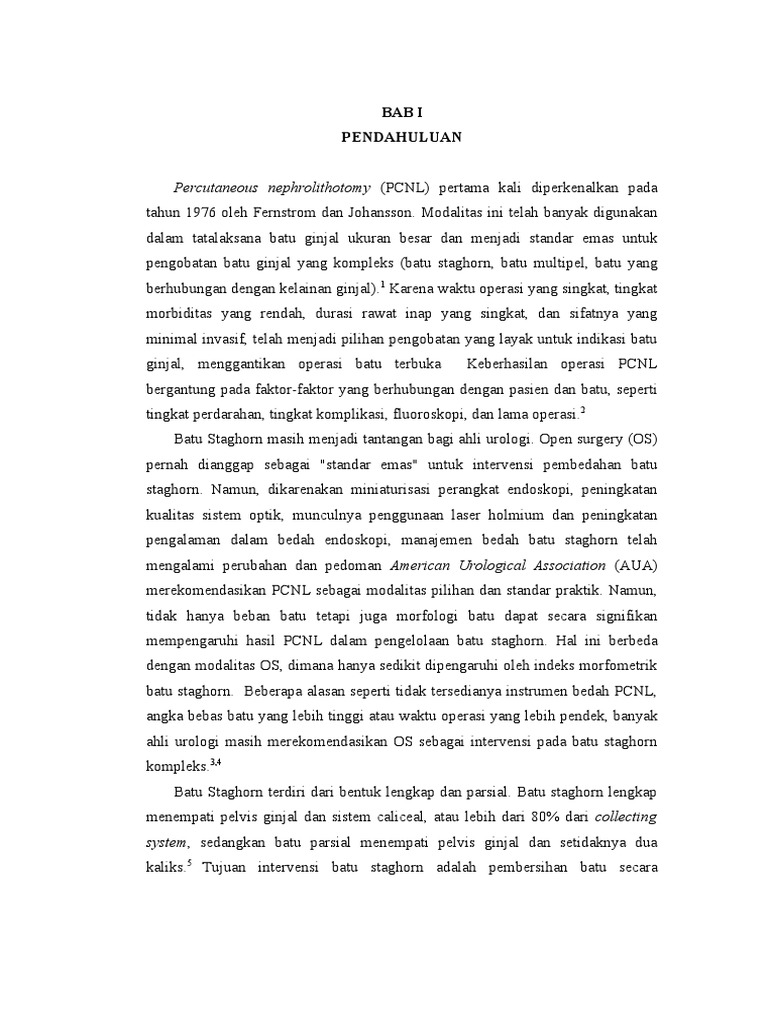 PCNL OPEN Batu Staghorn | PDF