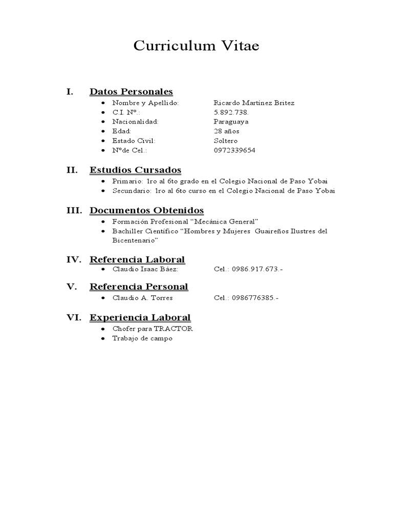 Curriculum Vitae Ricardo | PDF